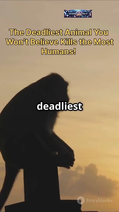 The Deadliest Animal You Won’t Believe Kills the Most Humans # ...
