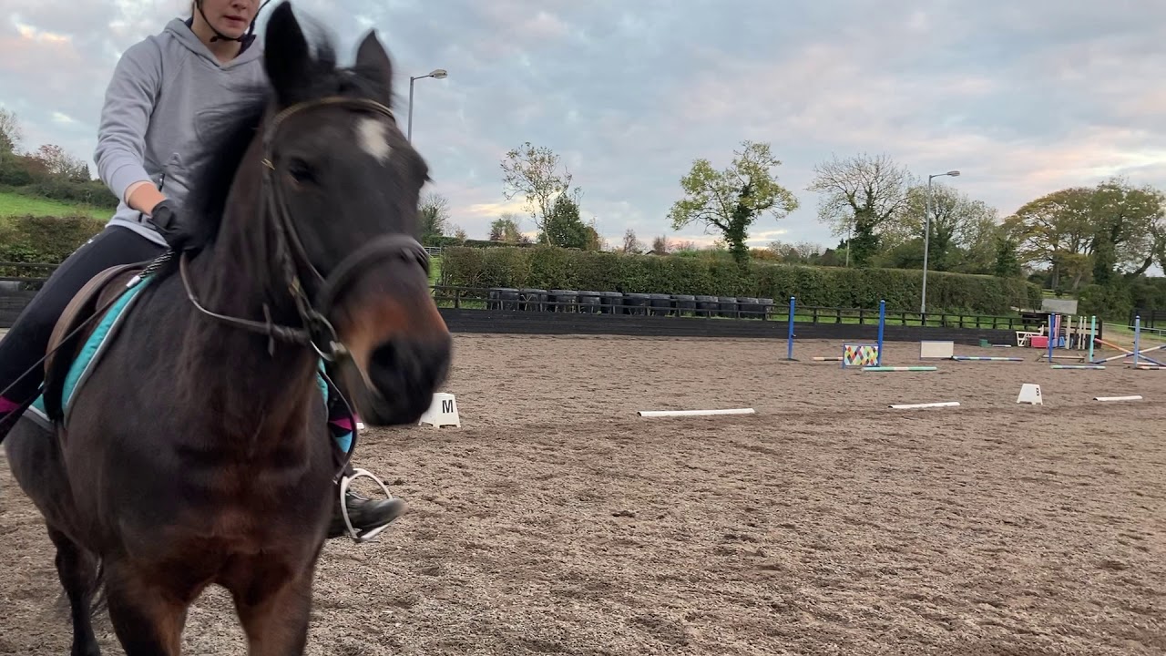 Prix caprilli intro October 2020 - YouTube