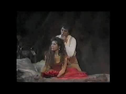 Neil Rosenshein Sings La fleur que tu m'avais jetée - YouTube