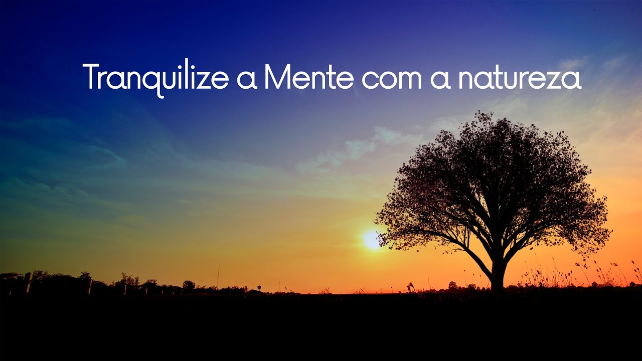Tranquilize a Mente com a natureza | Música para Relaxar e Aliviar o ...