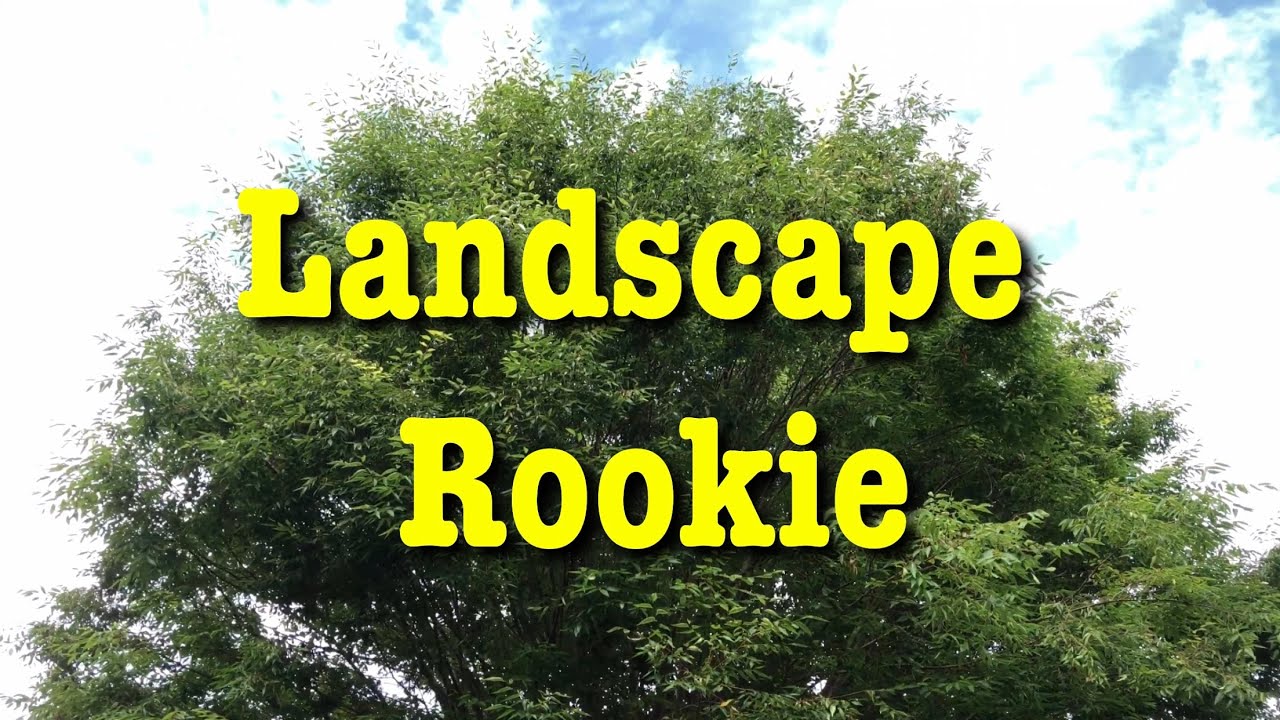 My First Landscape Project - Keep Growing - A GCI Turf Experience - YouTube