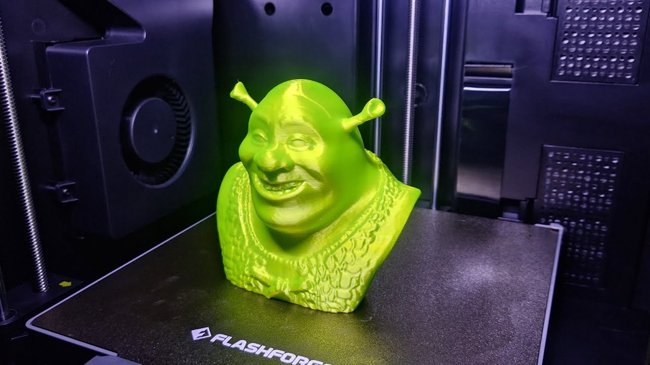 flashforge adventurer 5m pro 3D printer! Shrek print! - YouTube
