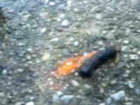 Hoří hovno? - YouTube