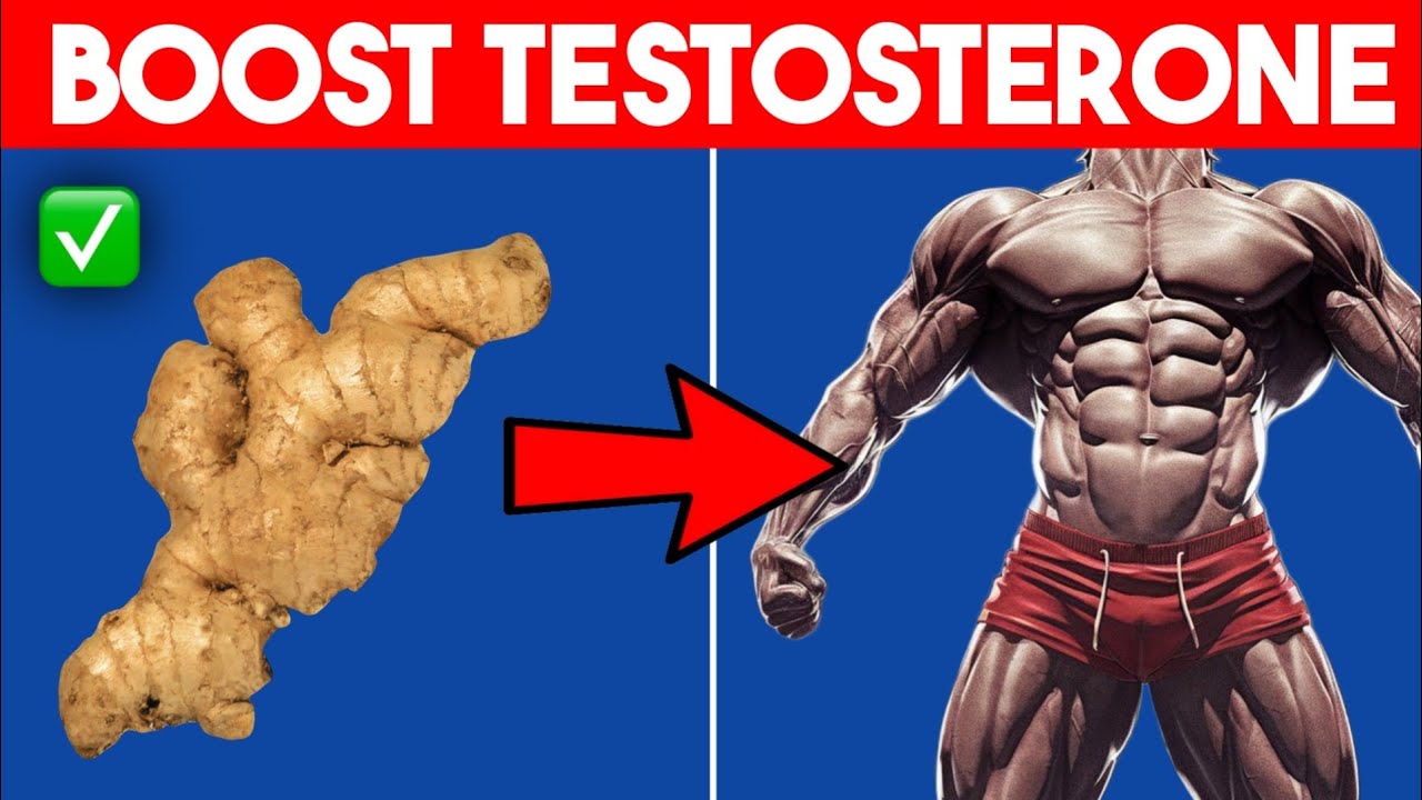 Maximize Your Testosterone Levels with These Superfoods - YouTube