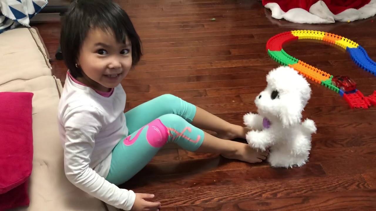 Play with dog Kayla fun time - YouTube