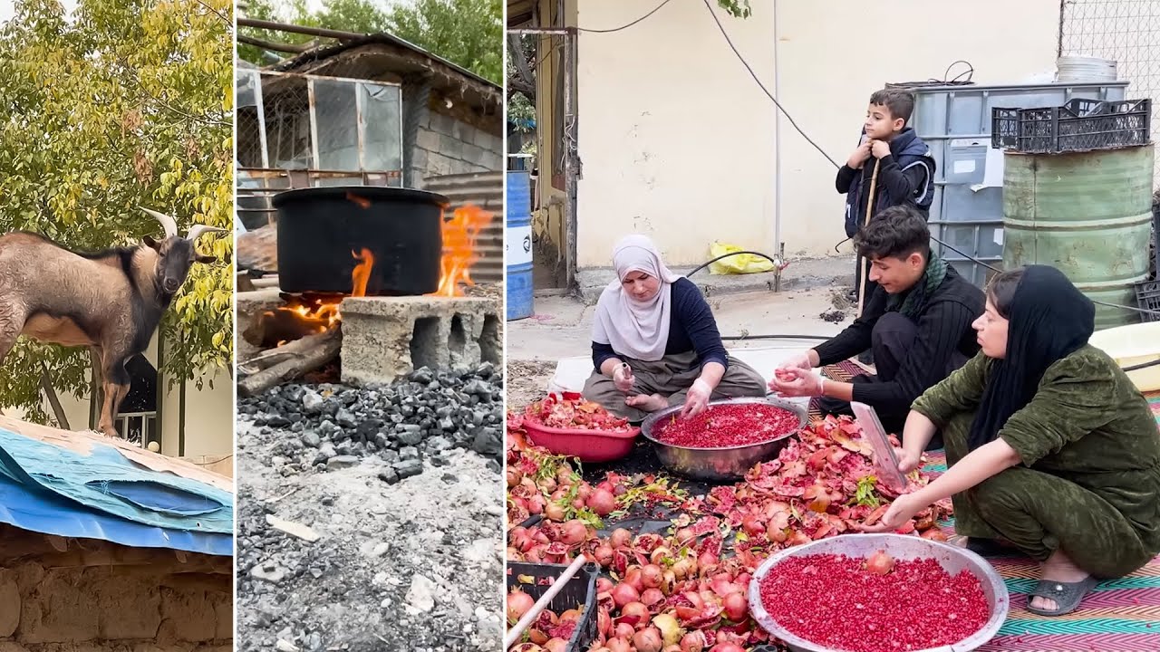 A Day in The Life of a Kurdish Village | Making Pomegranate Molasses ...