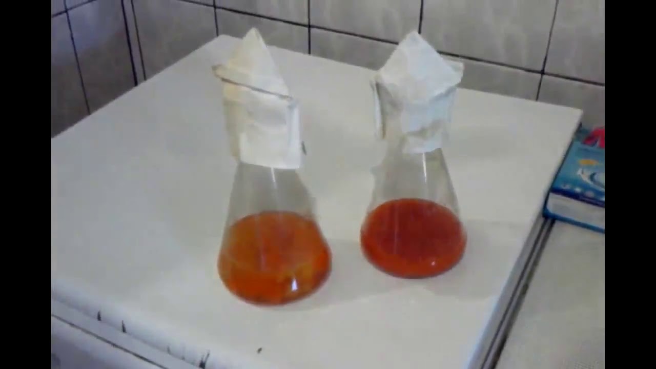 How mating of Blakeslea trispora half-strains is performed to induce ...