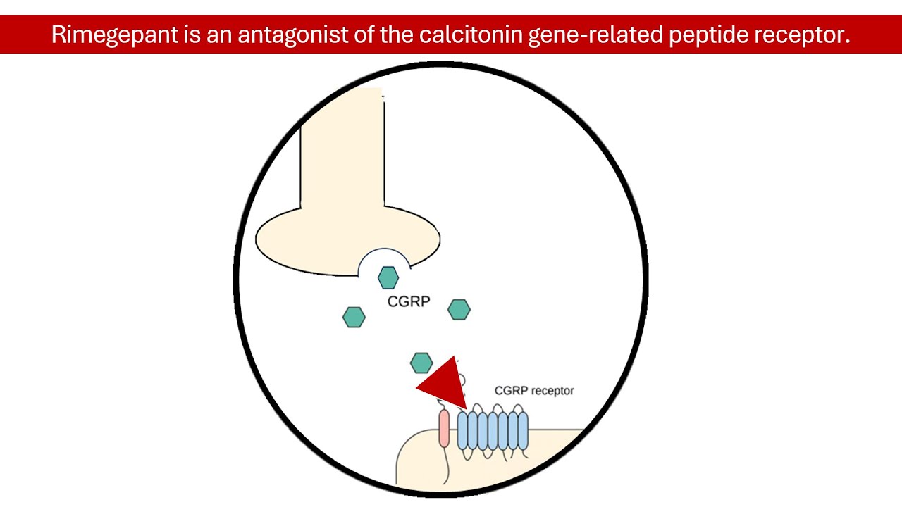 Rimegepant: New treatment for migraine attacks - YouTube