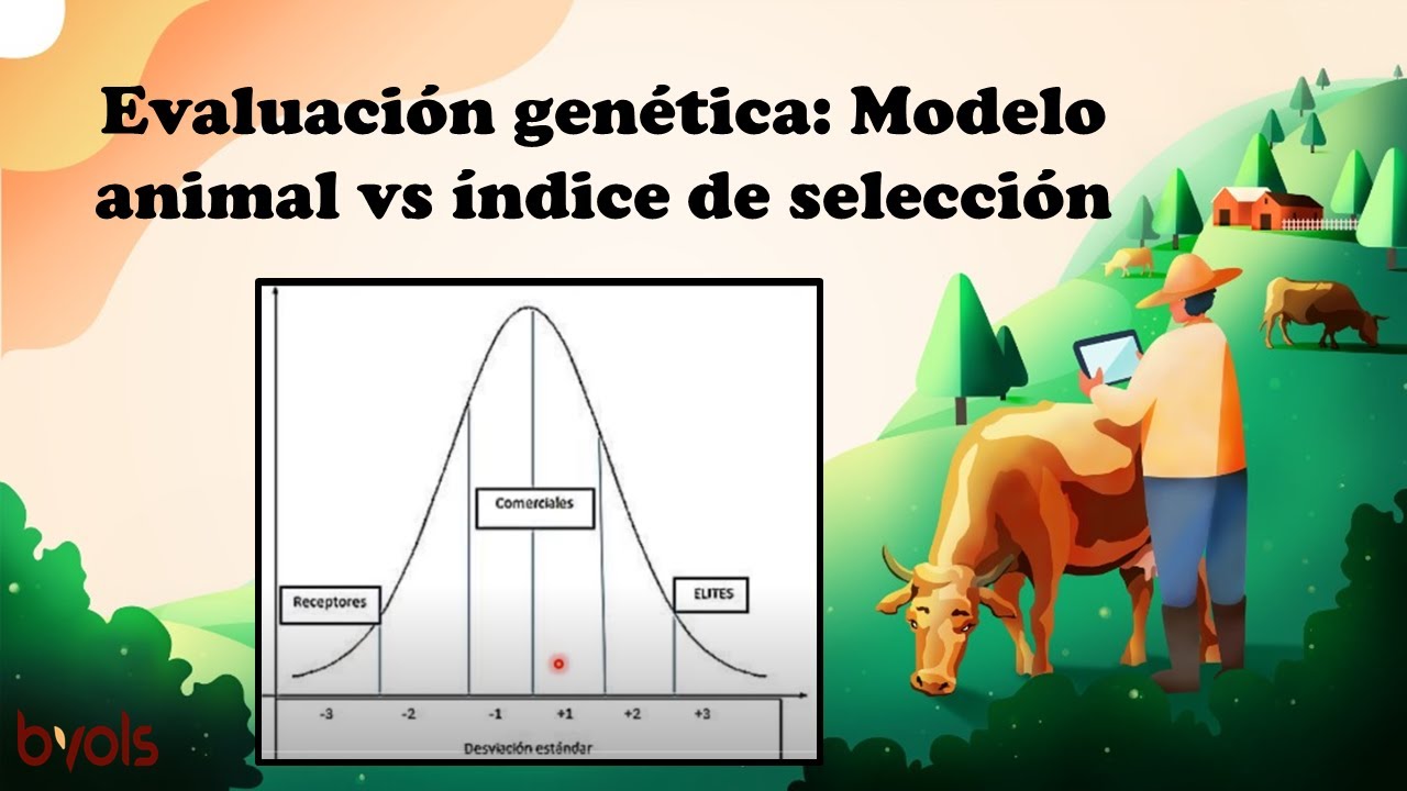 Evaluación genética: Modelo animal vs índice de selección. - YouTube