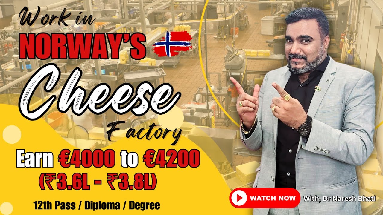 High-Paying Jobs in Norway’s Cheese Factory #cheesefactory #norway # ...