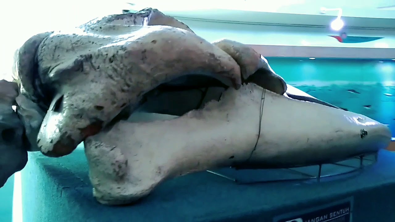 Labuan Marine Museum - YouTube