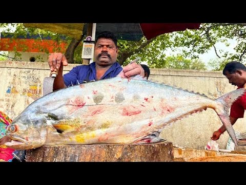 KASIMEDU SPEED SELVAM | THOL PAARAI FISH CUTTING SKILLS VIDEO # ...
