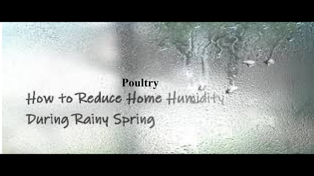 Is minimum ventilation to keep in-poultry house humidity down. if it's ...