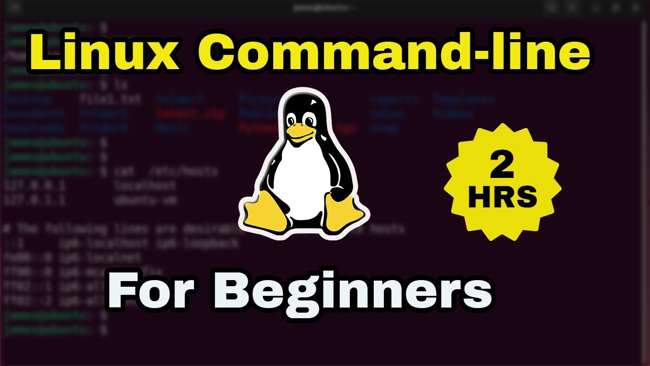 Basic Linux Commands for beginners - YouTube