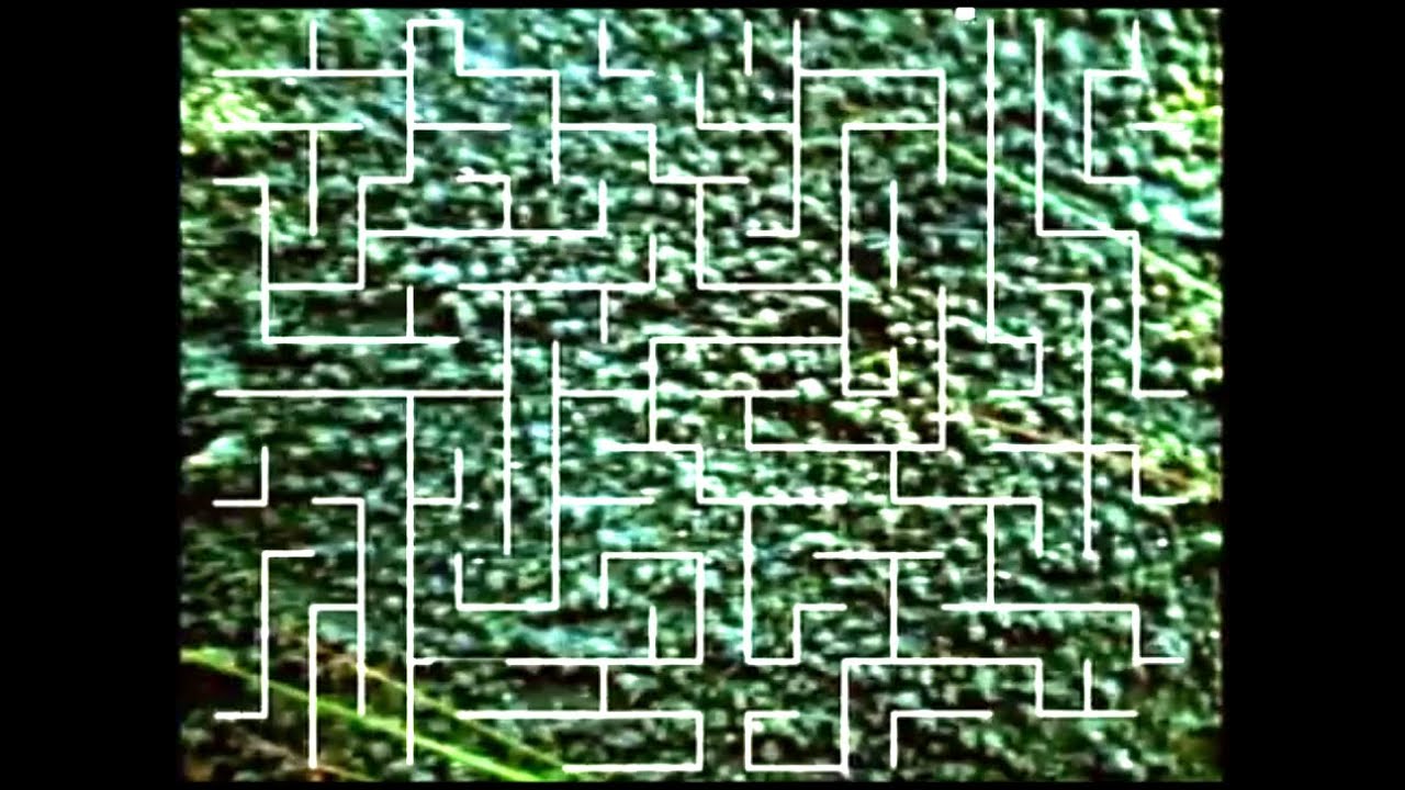 Nick ID - Maze - YouTube