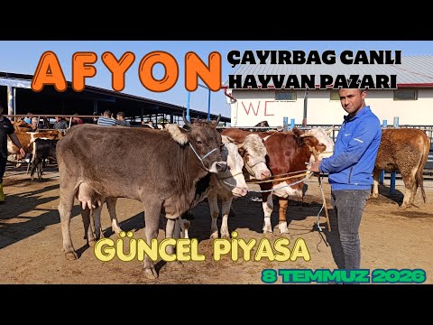 AFYON ÇAYIRBAĞ CANLI HAYVAN PAZARI 8 TEMMUZ 2026 - PAZARDA YAPRAK KIMILDAMIYOR!! PİYASA ÇÖKÜŞTE!!