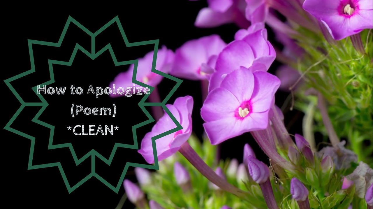 How to Apologize (Visual Poem) [[CLEAN]] - YouTube