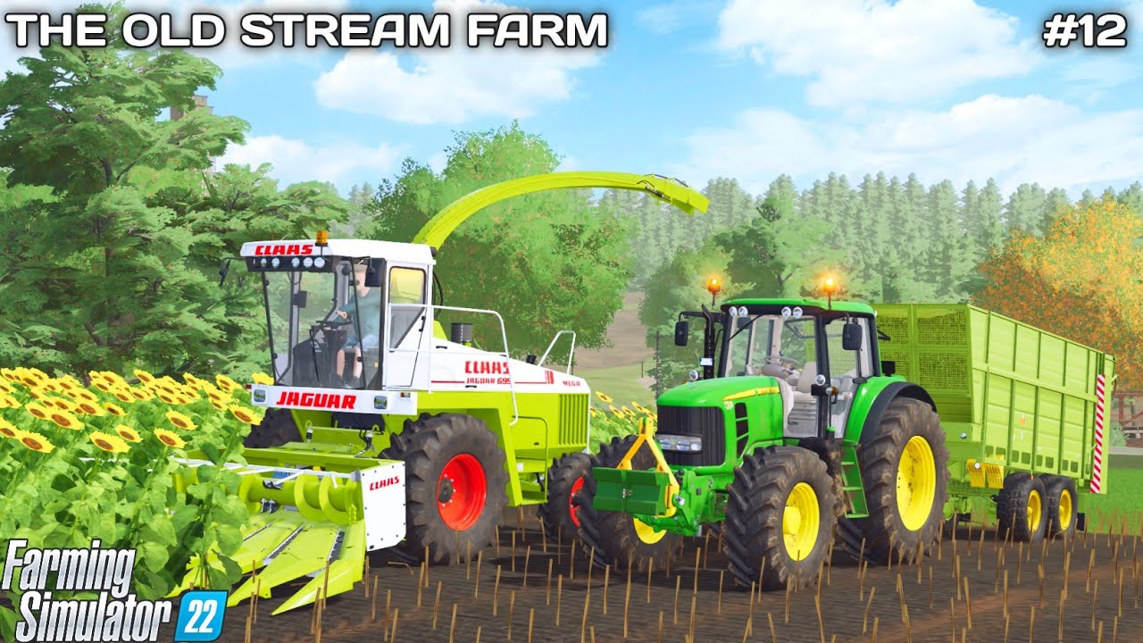 Make a sunflower wholecrop silage | Farming Simulator 22 Ep.12 - YouTube