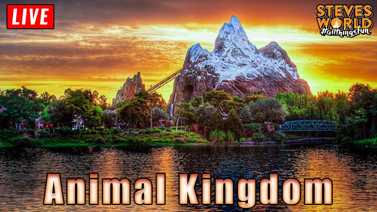 🔴 LIVE: An Evening At Animal Kingdom | Walt Disney World Live Stream 06 ...
