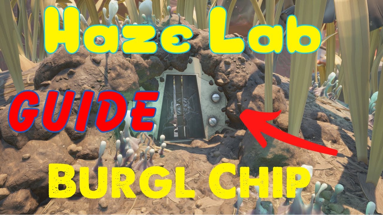 Haze Lab & Chip Guide - YouTube