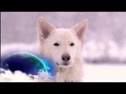 Sandra - Johnny Wanna Live  /2021 video mix.