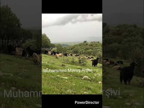 Durmuş Yazıcıoğlu gerizler başı nda