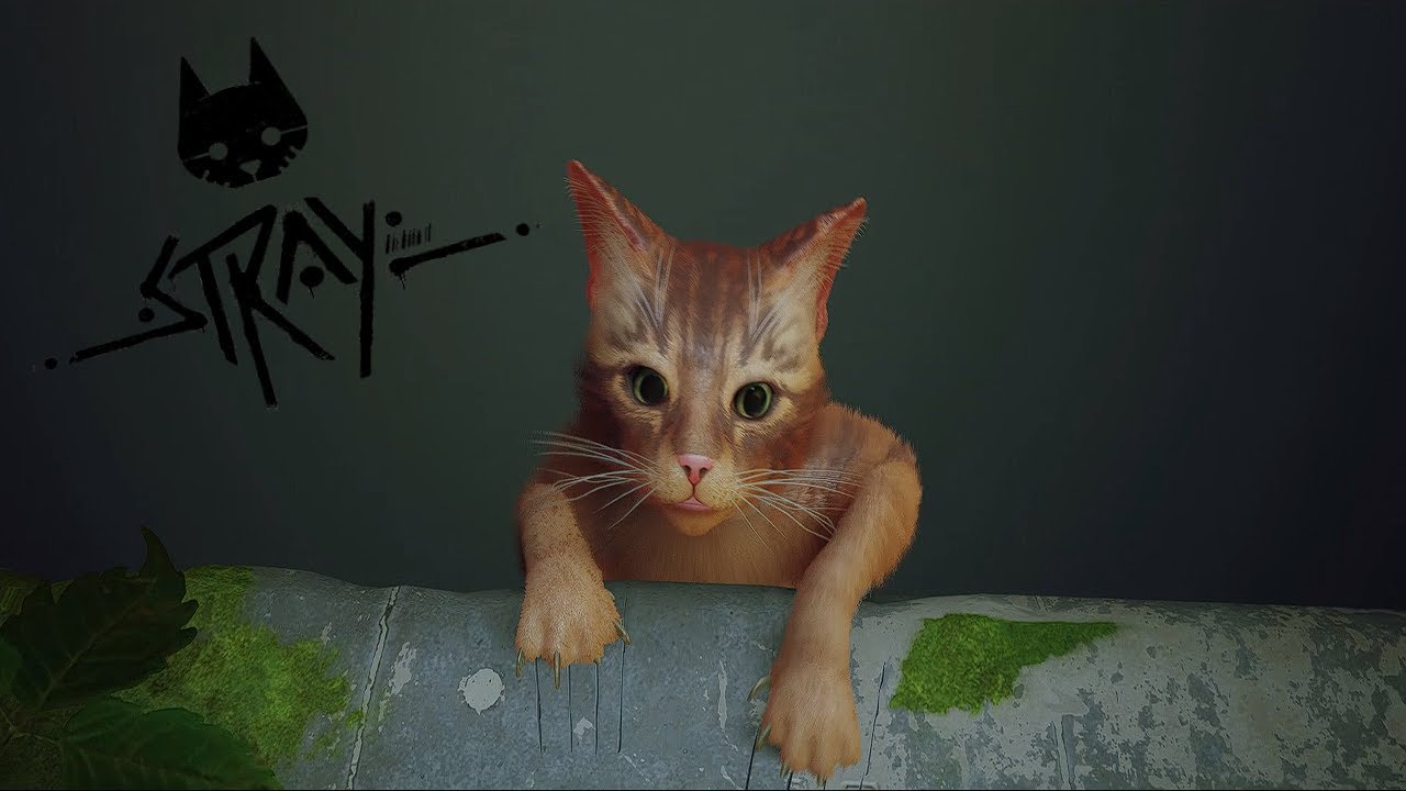 Stray - Missed Jump Cutscene - YouTube