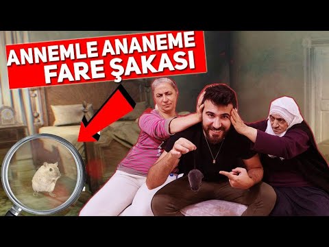 SELÇUK BÜYÜK - AİLEME OYUNCAK FARE ŞAKASI!