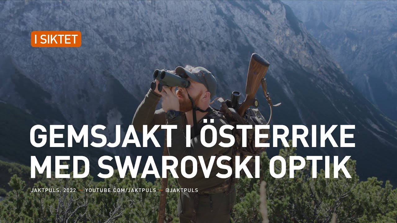 Gemsjakt i Österrike med Swarovski Optik - YouTube