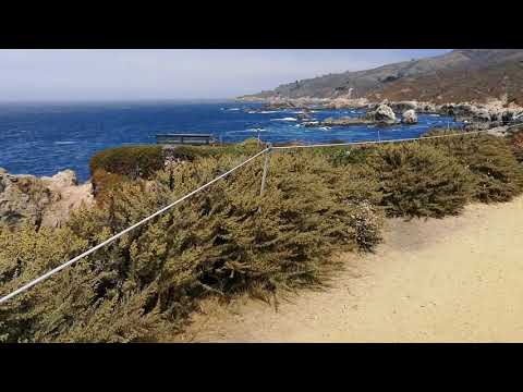 the hidden gem of Garrapata State Park Bluff Trail - YouTube