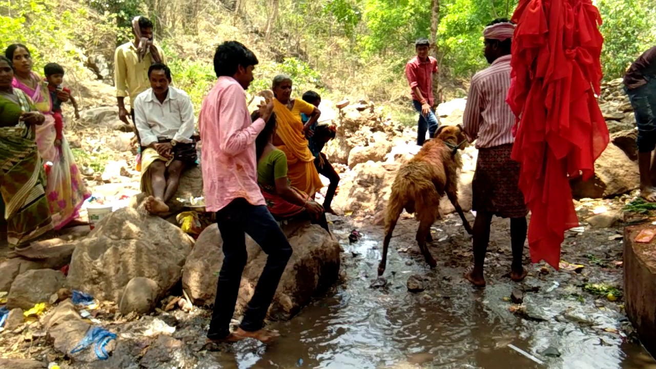 Gubbala mangamma temple,jangareddygudem,w.g dist - YouTube