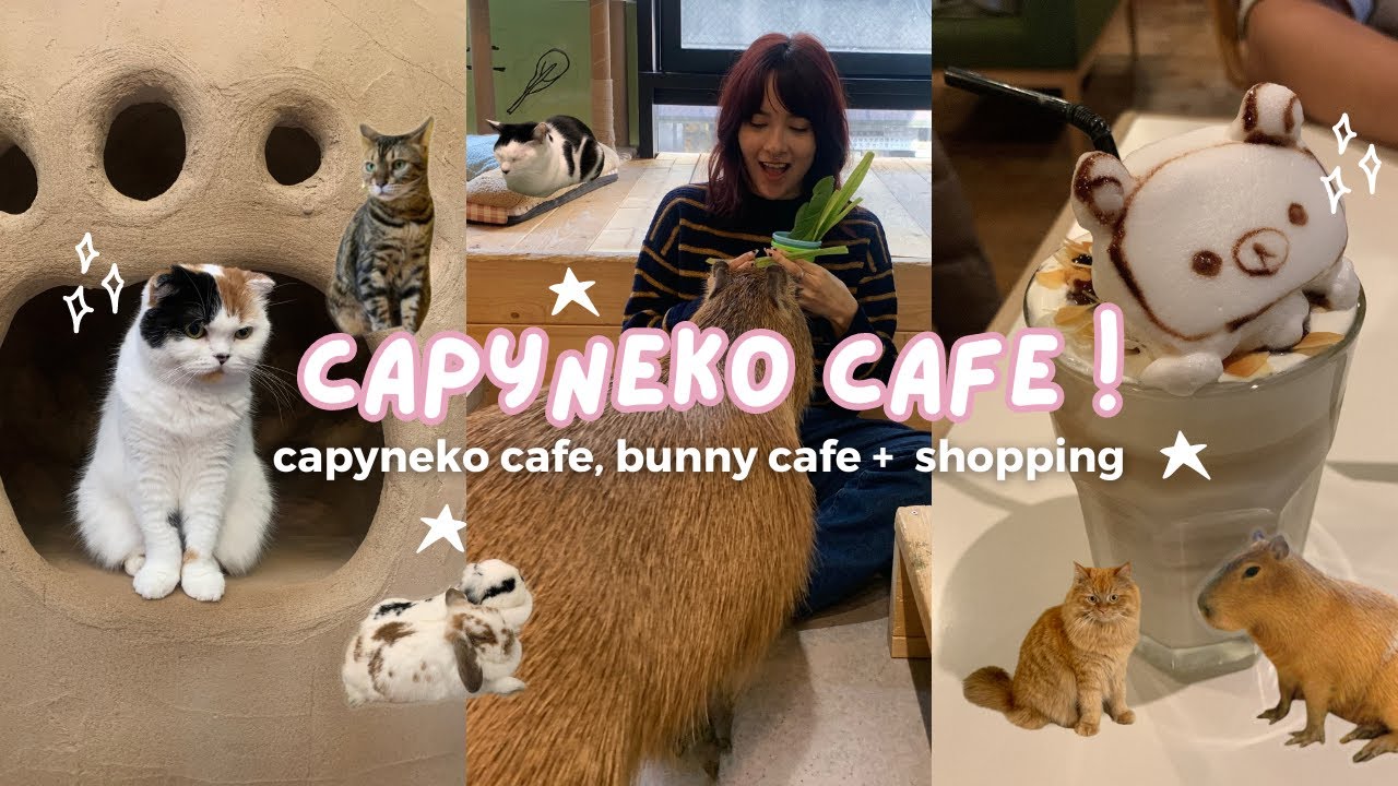 BEST capybara cafe, bunny cafe, & cat cafes in tokyo + nintendo store ...