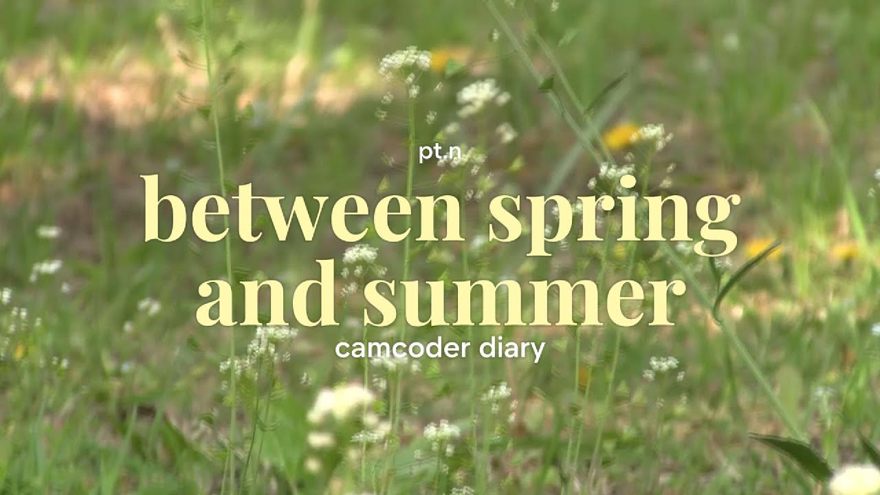 [캠코더 로그] 지금이 아니면 안되는 between spring and summer - YouTube