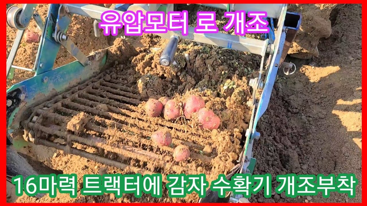 경운기용 감자수확기를 16마력 트랙터에 개조부착 가을 홍감자 수확 1일전 농기계 수리개조 부착 홍심이 카스테라감자 빨간감자