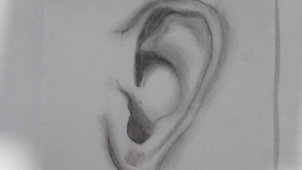 How to Easily Draw Realistic Ear for Beginners |Step by step - YouTube