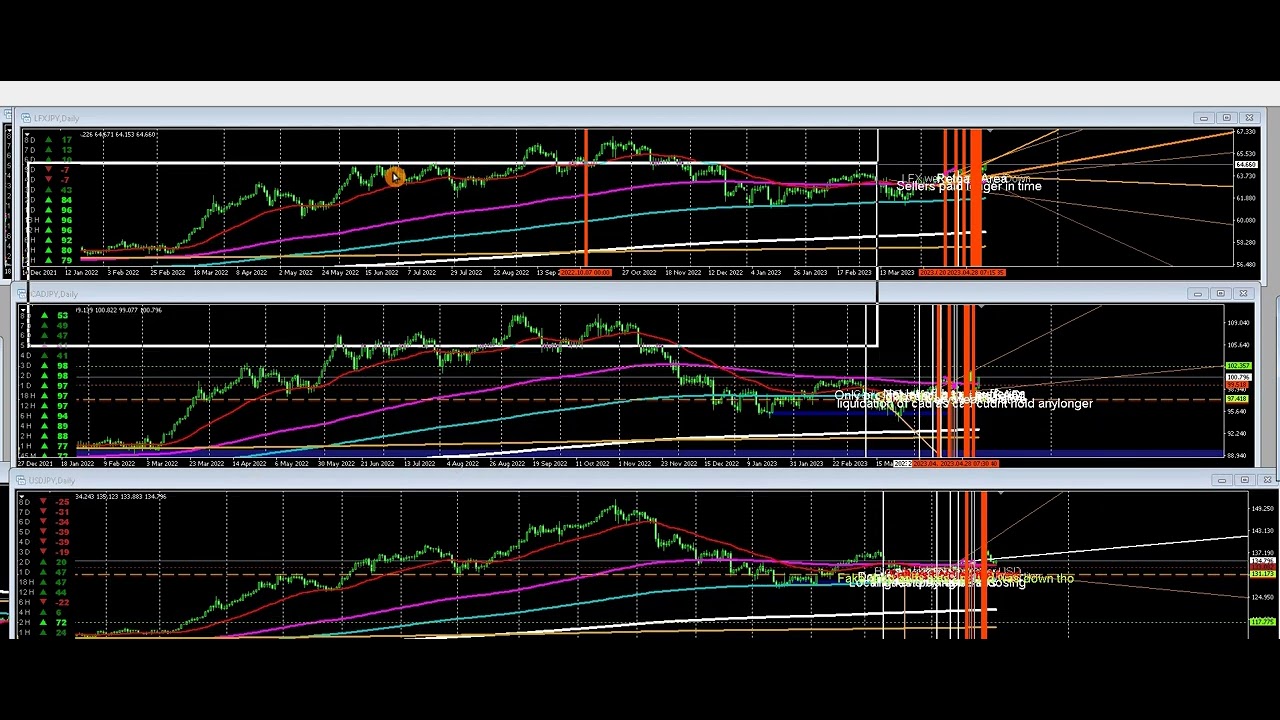 Double Hedging the Daily Perspective - YouTube