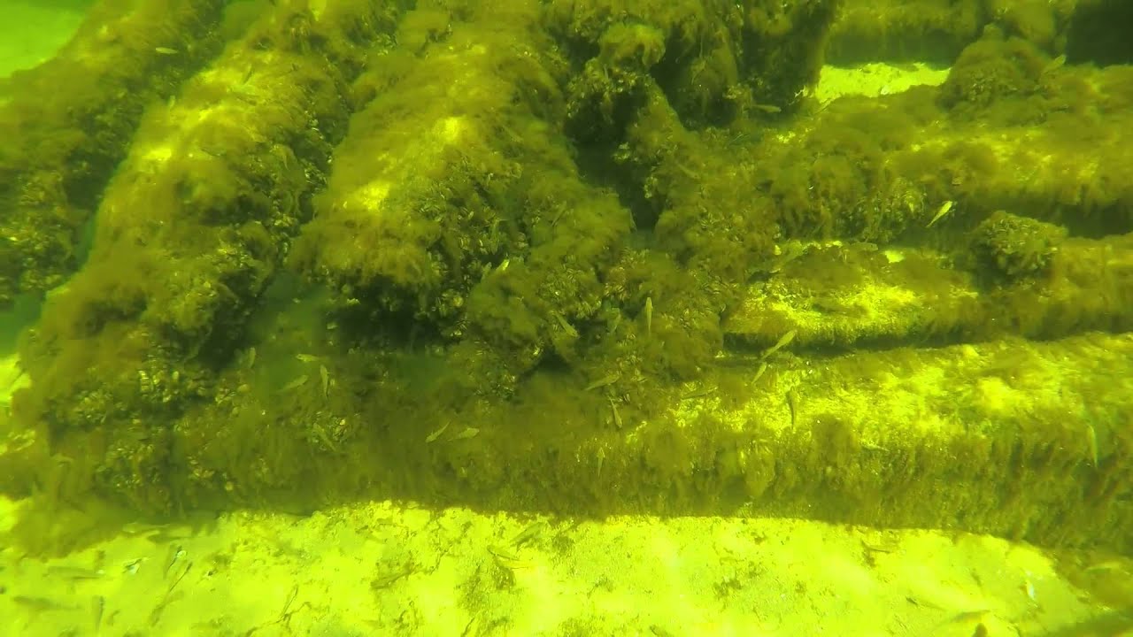 RJ Hackett Ship Wreck Pt2 - YouTube