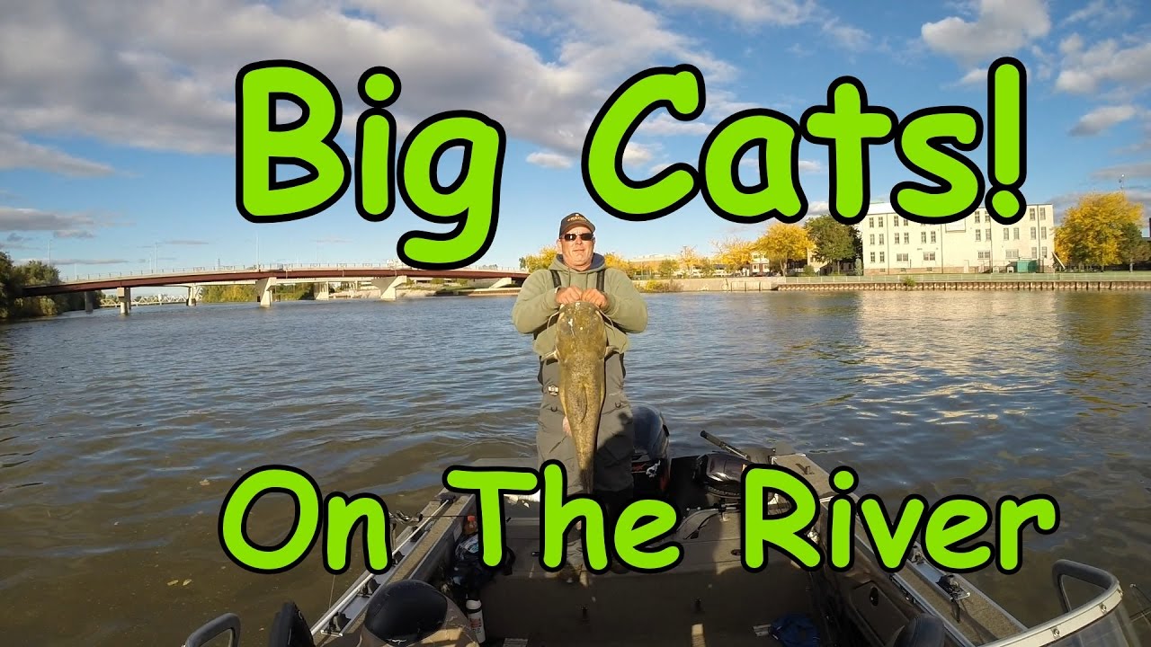 Catfish While Walleye Fishing!!? Fall 2016 - YouTube