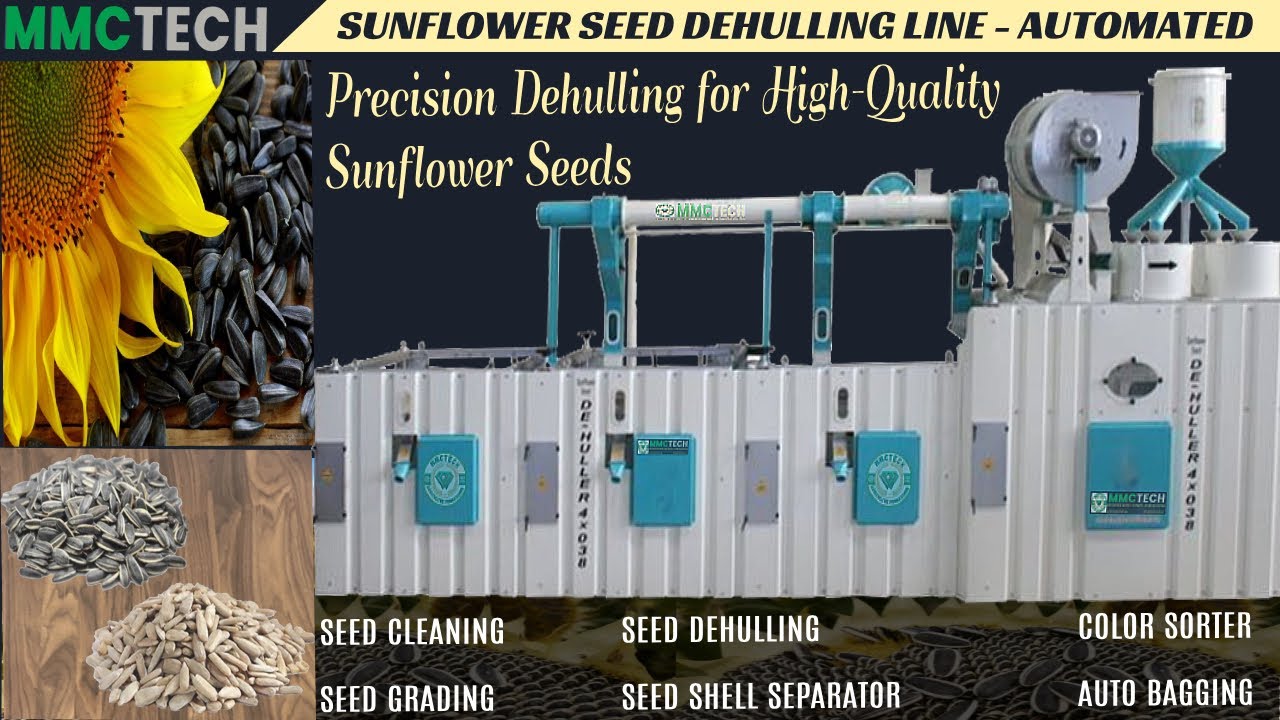 Sunflower Seeds Dehulling Plant | How Does the Dehulling Process Work ...