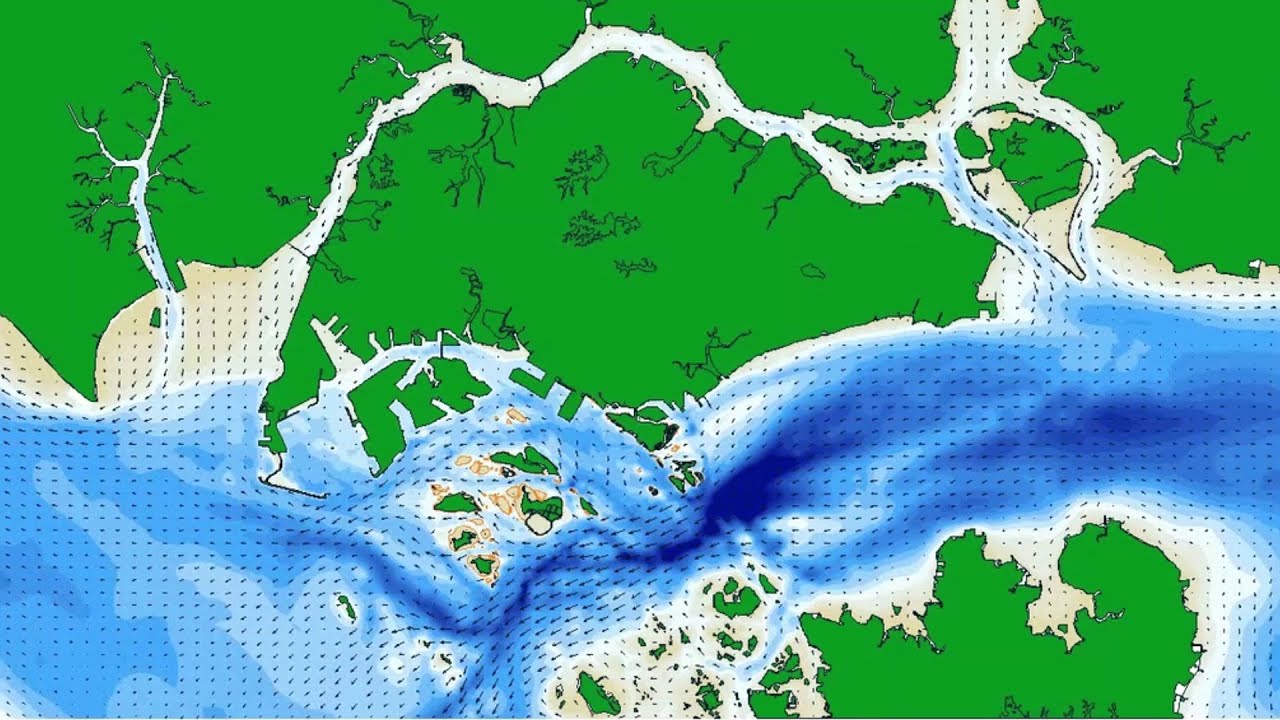 ABM Lab | Coral Larvae Dispersal from a Reef in Singapore - YouTube