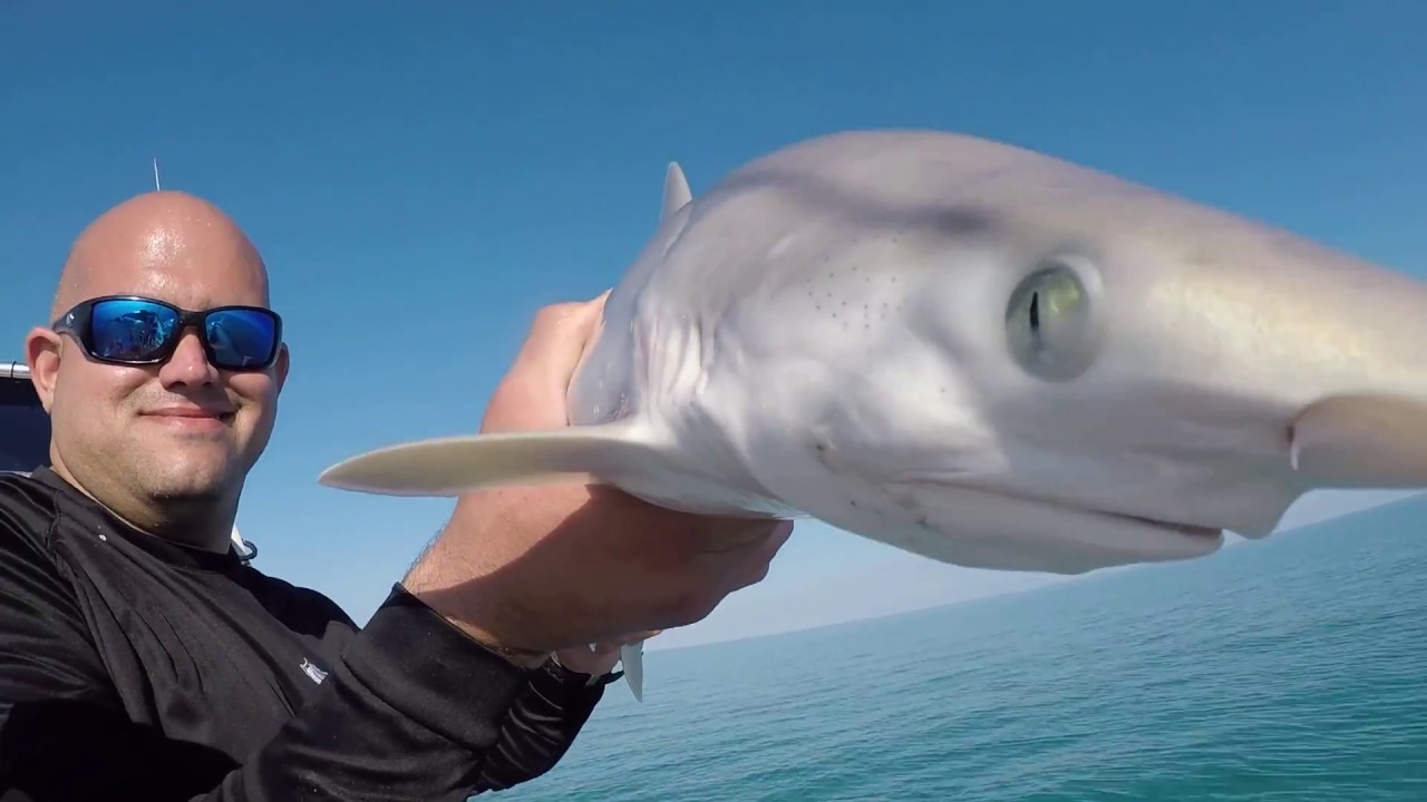 Rib Fishing with Bad Ju Ju and Mangrove Mayhem - YouTube