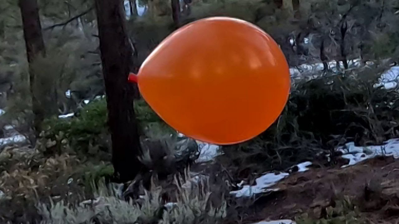 Orange Balloons Flying Away, NonPop, Forest Balloon Non-Pop 4 - YouTube