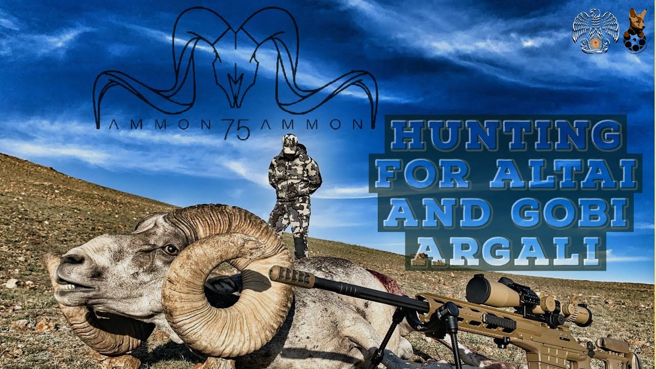 Hunting for Altai and Gobi Argali - YouTube