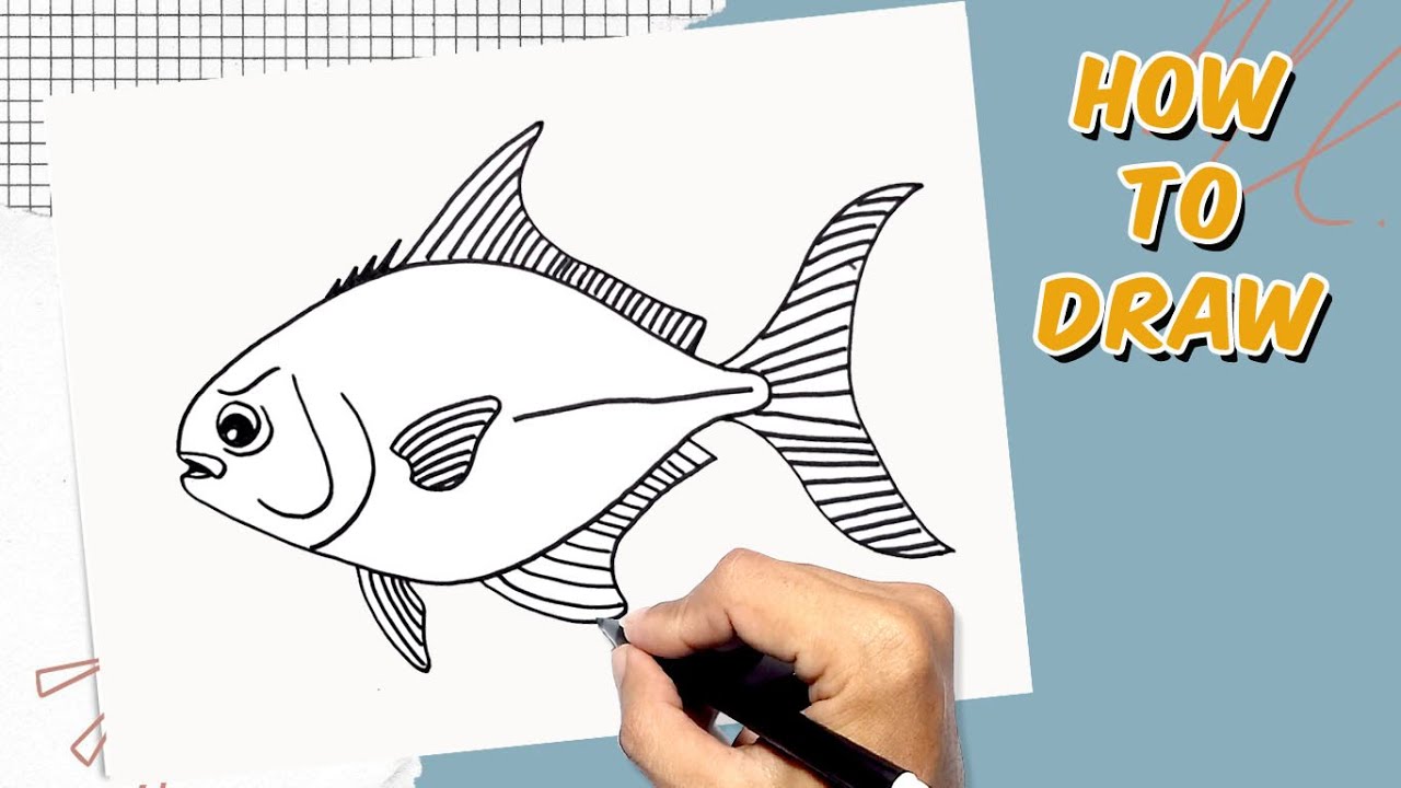 How to Draw Pompano fish - YouTube