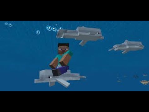 MAKE DOLPHIN AQUARIUM IN MINECRAFT - YouTube