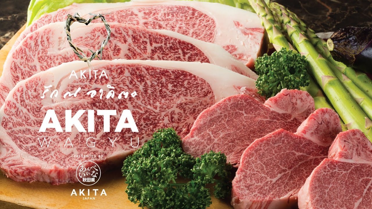 AKITA WAGYU - YouTube