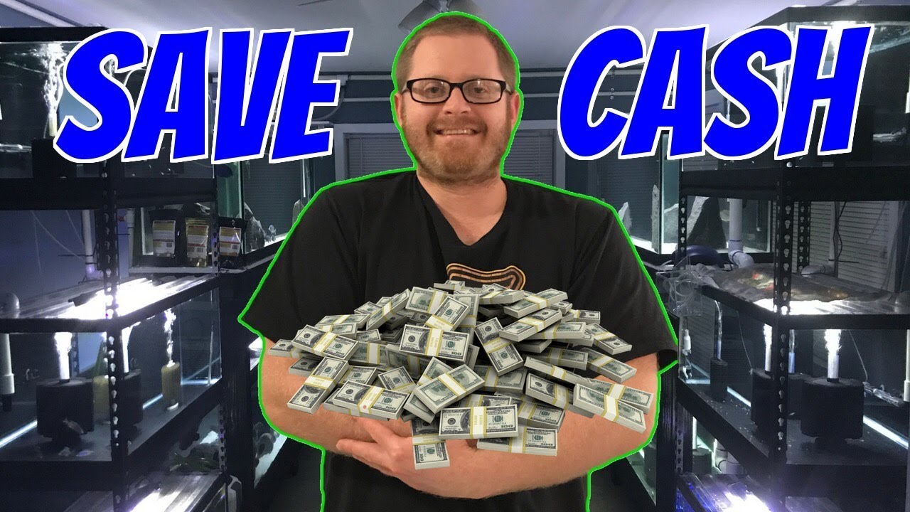 6 Ways To Save A Ton Of Money Keeping Aquarium Fish , DON'T OVERSPEND ...