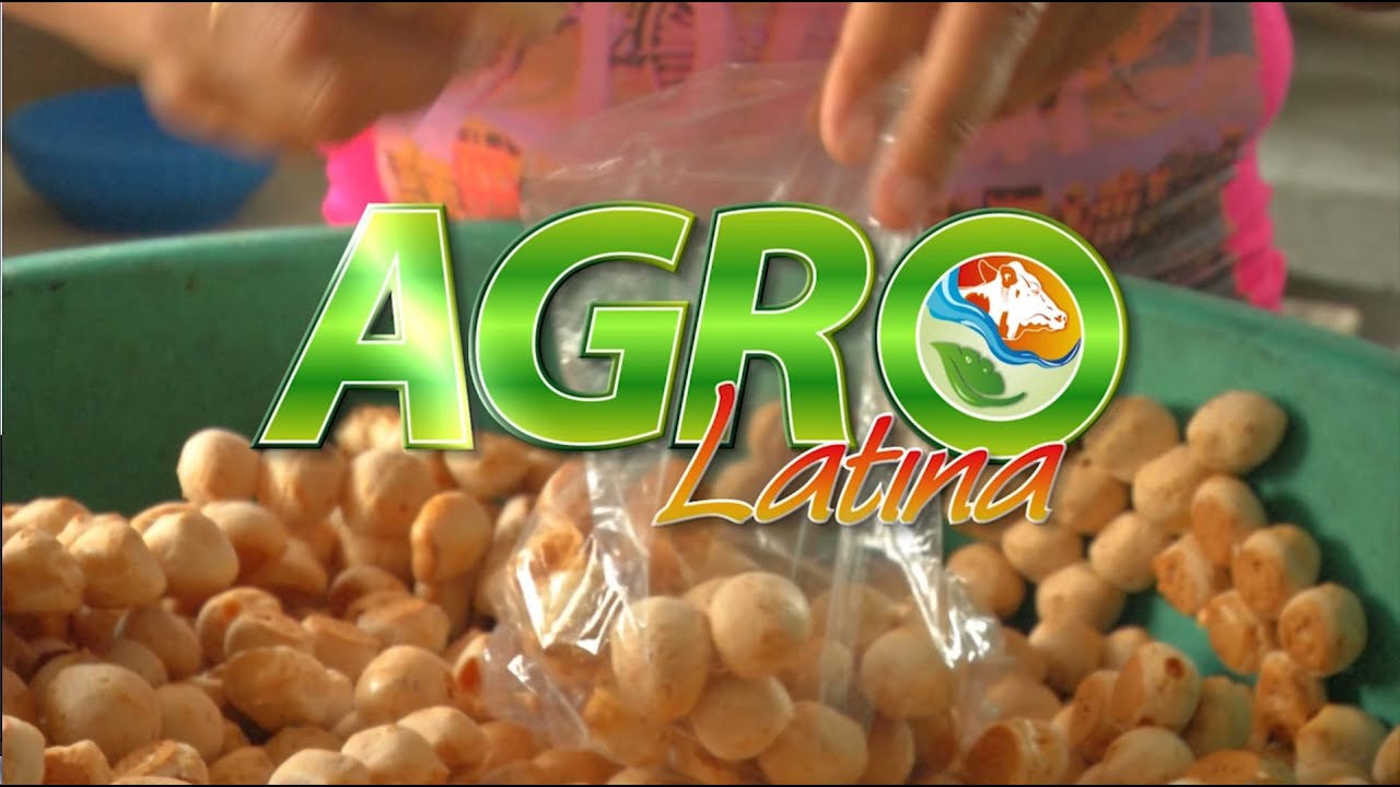 Yabolín y Diabolin - YouTube