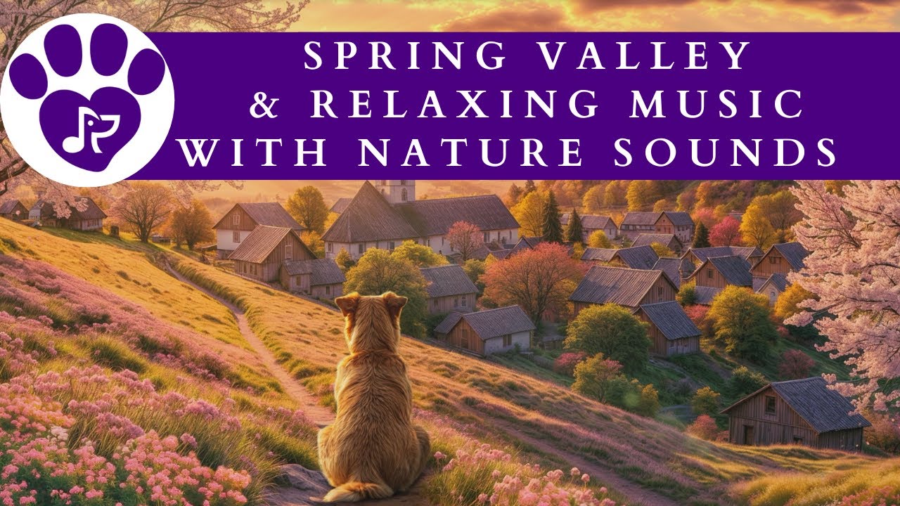 🌸 Spring Valley Calm Music for Pets with Nature Sounds | Relaxing ...
