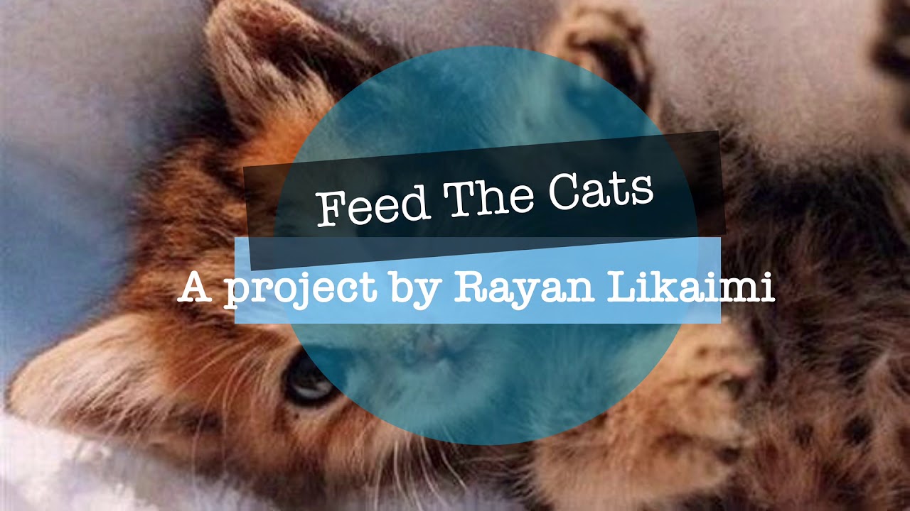 Save The Stray Animals - YouTube